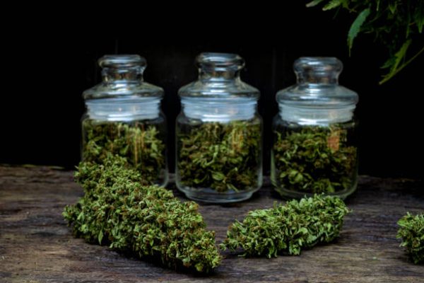 Dutchie POS Review: Streamlining Cannabis E-Commerce and Retail - WP ...